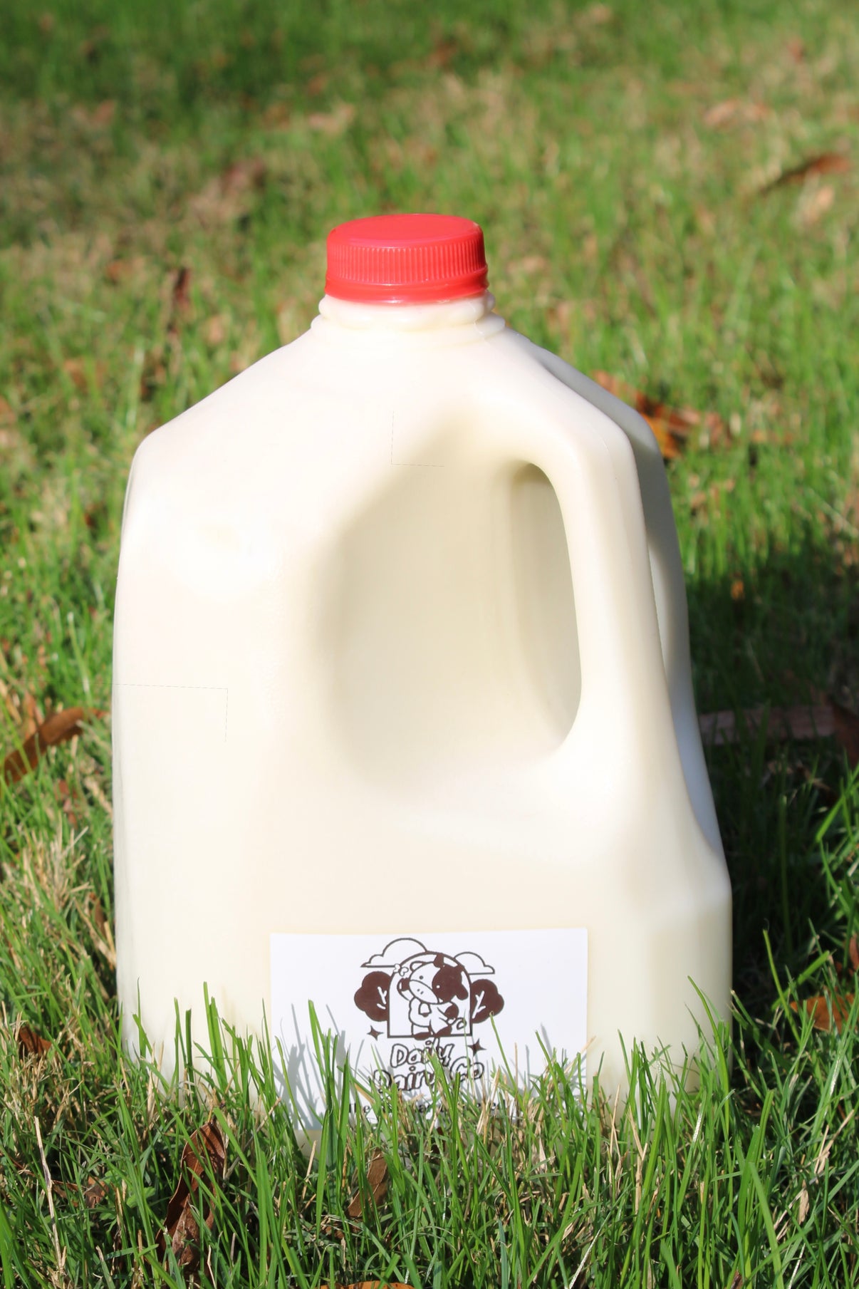 Raw Milk | Order Now – Daily Dairy Co